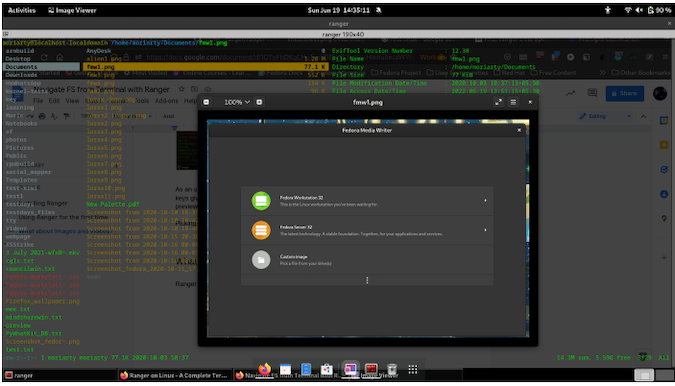 Manage your files in your Linux terminal with ranger | Opensource.com